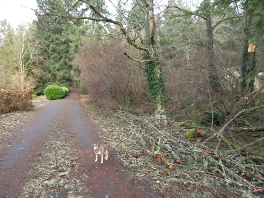 ERIK NYE THE TREE GUY - Updated August 2024 - 53 Photos & 163 Reviews ...