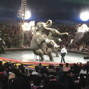 UNIVERSOUL CIRCUS - 53 Photos & 52 Reviews - Atlanta, GA - Yelp