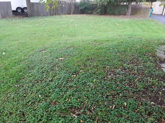 AARON AUTO GLASS - Updated January 2026 - 108 Photos & 486 Reviews ...