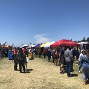 NORCAL PIRATE FESTIVAL - 154 Photos & 66 Reviews - Festivals - 289 Mare ...