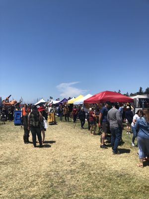 NORCAL PIRATE FESTIVAL - 154 Photos & 67 Reviews - 289 Mare Island Way ...