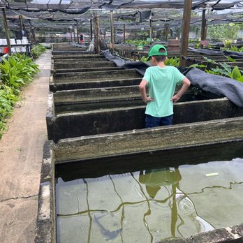 NEIGHBORHOOD FISH FARM - Updated October 2025 - 76 Photos & 74 Reviews ...