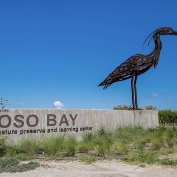 OSO BAY WETLANDS PRESERVE & LEARNING CENTER - Updated July 2025 - 71 ...