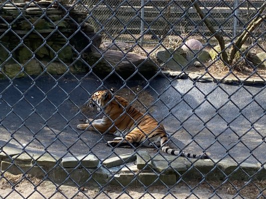 POPCORN PARK ZOO - Updated March 2025 - 257 Photos & 143 Reviews ...