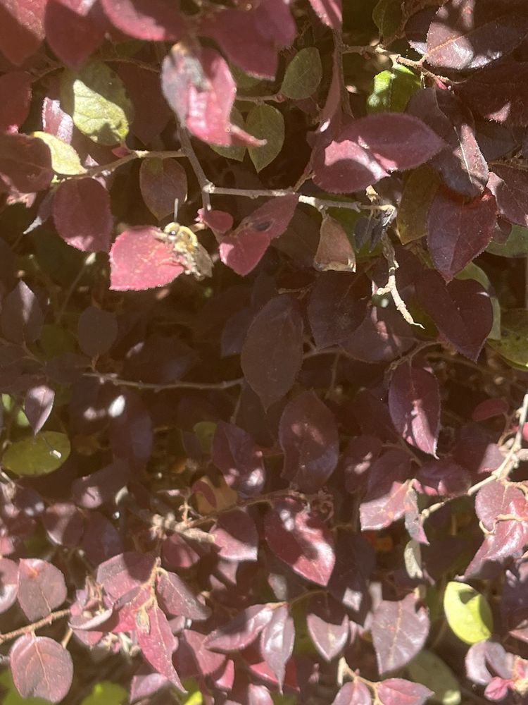 WOODLEAF FARM EQUIPMENT & TRAILER SALES - Updated May 2024 - 8555 ...