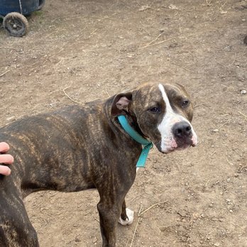 SHEEDER MILL FARM - Updated October 2025 - 96 Photos & 58 Reviews - 12 ...