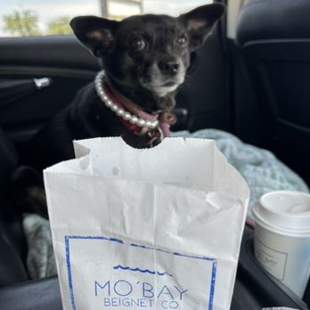 MO’BAY BEIGNET CO - HATTIESBURG - Updated September 2024 - 34 Photos ...