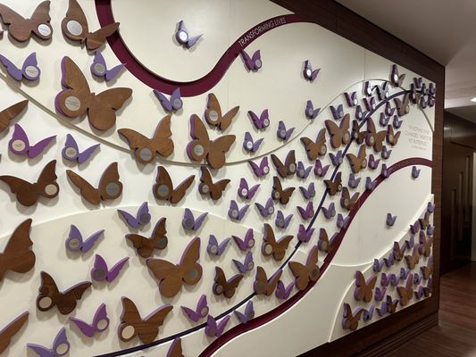 PALI MOMI WOMEN’S CENTER - Updated November 2025 - 108 Photos & 32 ...