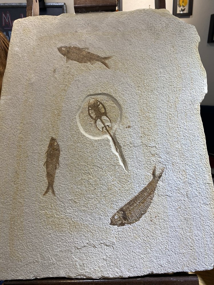 I’VE GOT ROCKS IN MY HEAD - Updated October 2025 - 11 Photos & 14 ...