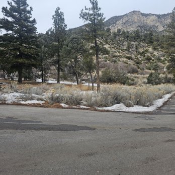 KYLE CANYON PICNIC AREA DAY USE - Updated October 2025 - 65 Photos & 17 ...