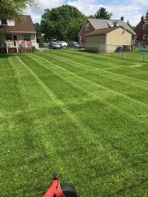 MP’S PROPERTY MAINTENANCE - Updated July 2025 - 16 Photos - Prospect Park, Pennsylvania ...