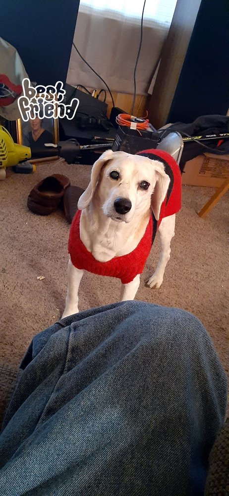 THE FARM STORE - Updated January 2025 - 13 Reviews - 561 Main St ...