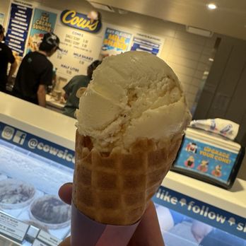 COWS - Updated November 2025 - 352 Photos & 211 Reviews - 138 Banff ...