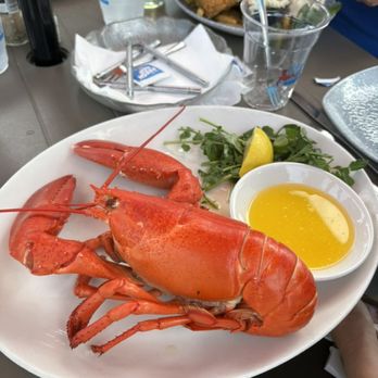 LOBSTA LAND - Updated September 2024 - 285 Photos & 481 Reviews - 84 ...