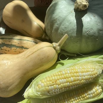 CHINO FARM - Updated December 2025 - 99 Photos & 163 Reviews - 6123 ...