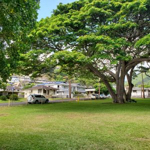 MAKIKI DISTRICT PARK - Updated June 2024 - 51 Photos & 33 Reviews ...
