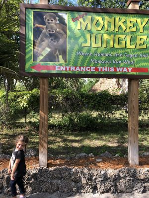MONKEY JUNGLE - 361 Photos & 182 Reviews - 14805 SW 216th St, Miami, FL ...