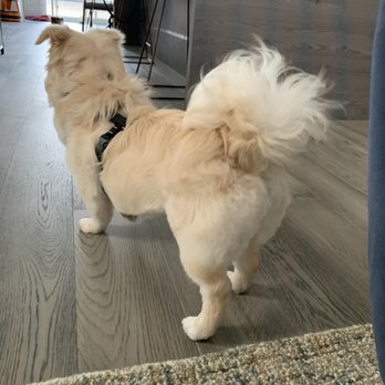 PAWSITIVELY POOCHED - Updated January 2026 - 41 Photos & 18 Reviews ...