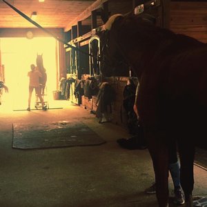 FIELDSTONE SHOW PARK - Updated March 2025 - 21 Plymouth St, Halifax ...