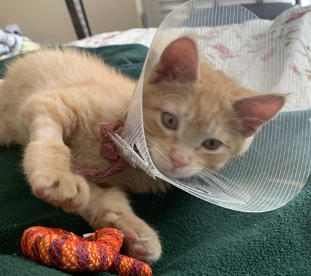 SANTA FE ANIMAL SHELTER & HUMANE SOCIETY - Updated November 2025 - 20 ...