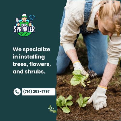 DR SPRINKLER - Updated November 2024 - 124 Photos & 286 Reviews - 16835 ...