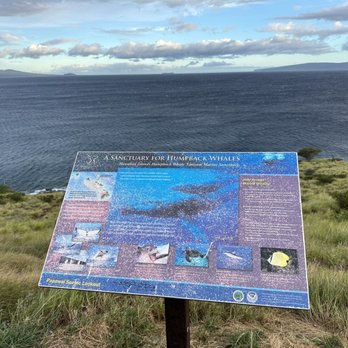 PAPAWAI LOOKOUT - Updated January 2026 - 154 Photos & 21 Reviews - 16 ...