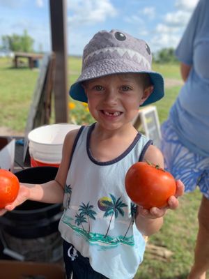 WESLEY WELLS FARM - Updated May 2025 - 99 Photos & 11 Reviews - 2680 ...