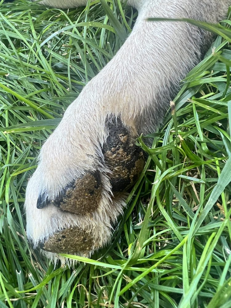 SPAYTODAY - Updated December 2025 - 15 Photos & 85 Reviews - 1401 ...