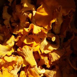 FARM BLOOMINGTON - Updated January 2026 - 727 Photos & 846 Reviews ...