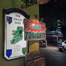 THE OULD SOD - Updated July 2025 - 166 Photos & 358 Reviews - 3373 ...