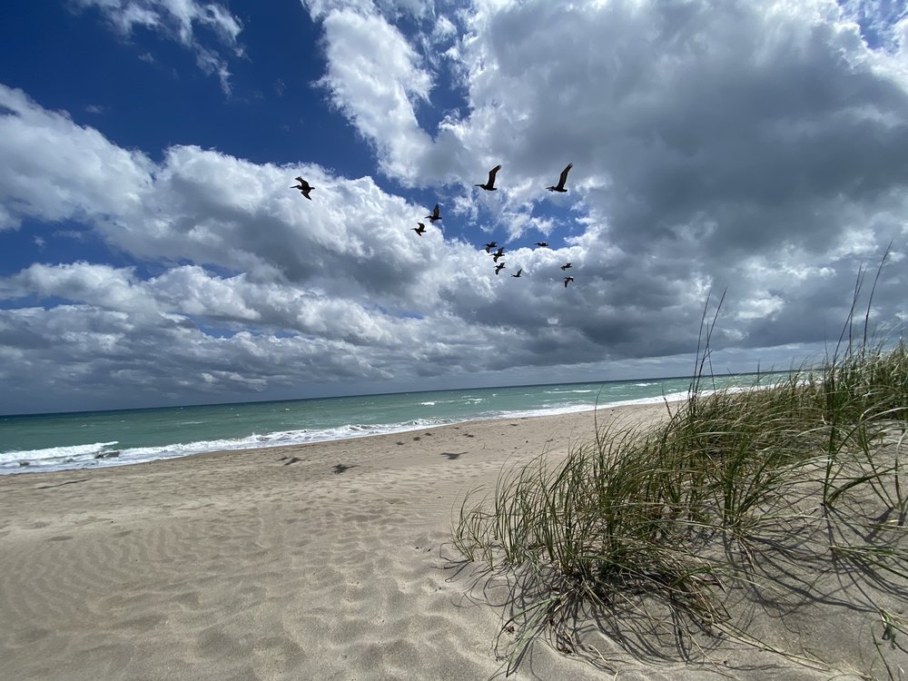 BLIND CREEK BEACH - 28 Photos & 19 Reviews - 5460 S Ocean Dr, Fort ...