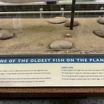 BELLE ISLE AQUARIUM - Updated August 2024 - 397 Photos & 87 Reviews - 3 ...