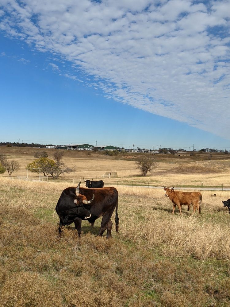 NRS WORLD - Updated October 2025 - 15 Reviews - 4650 US-287, Decatur ...