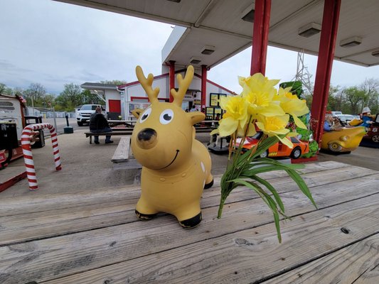 WEENEE WORLD - 49 Photos & 28 Reviews - 601 N Memorial Dr, New Castle ...