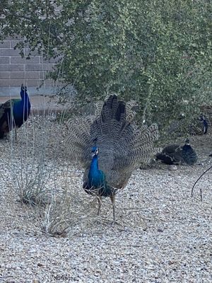 GLENDALE PUBLIC LIBRARY - Updated November 2024 - 74 Photos & 19 ...