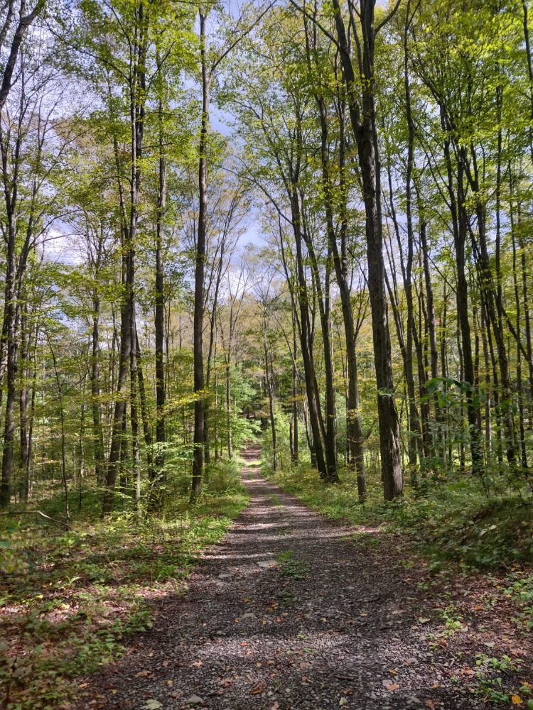 COOL-LEA CAMP - Updated October 2025 - 21 Photos - 2540 State Route 228 ...