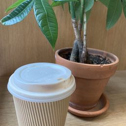 SUPER NICE COFFEE AND BAKERY - Updated March 2025 - 186 Photos & 159 ...