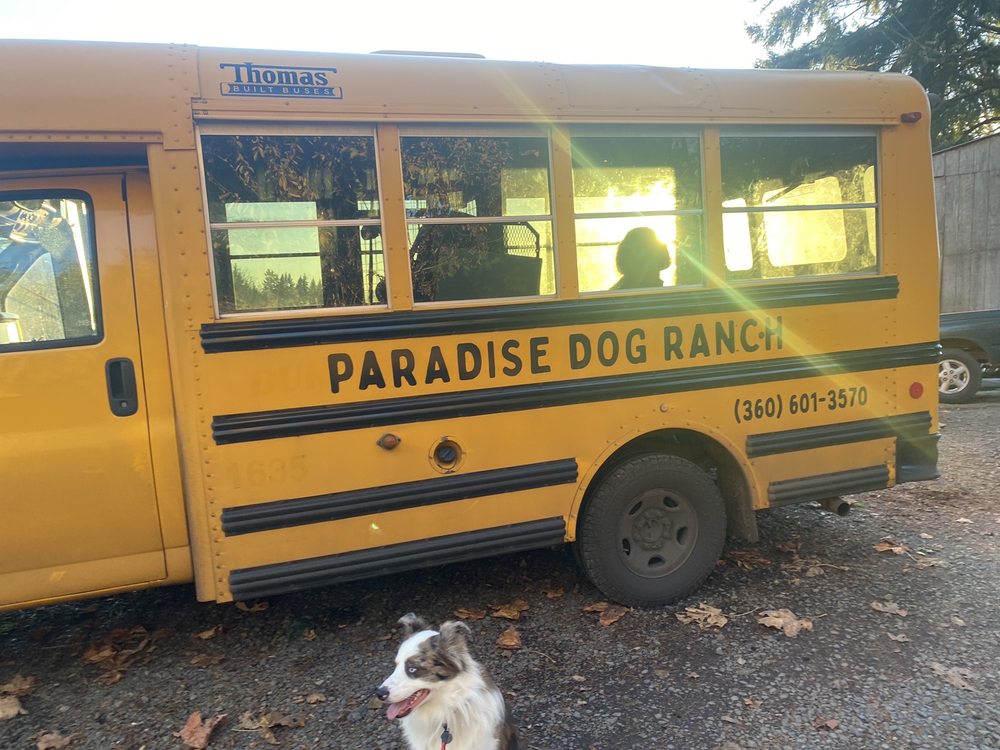 PARADISE DOG RANCH - Updated December 2025 - 33 Photos & 34 Reviews ...