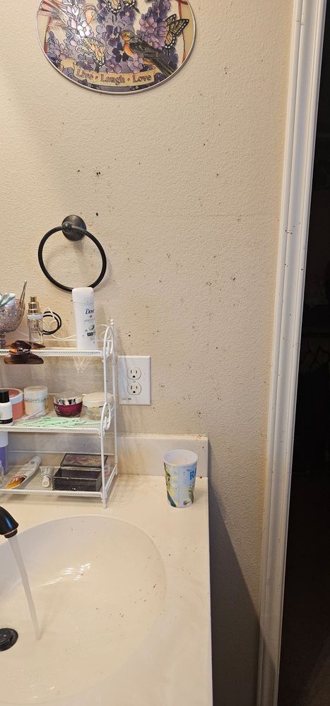 EMS HOME SERVICES - Updated July 2025 - 37 Photos & 189 Reviews - 7901 ...