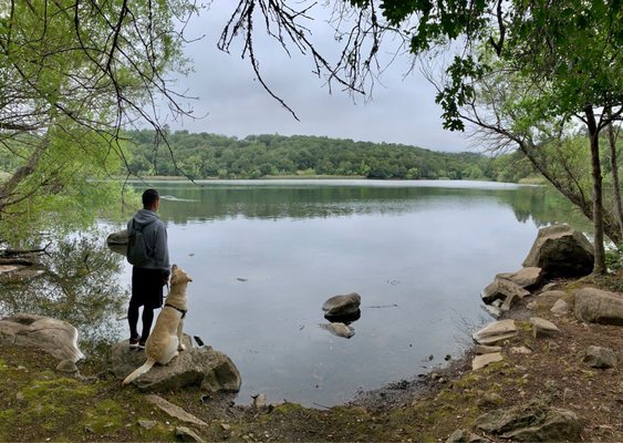 SPRING LAKE REGIONAL PARK - 453 Photos & 143 Reviews - 393 Violetti Rd ...