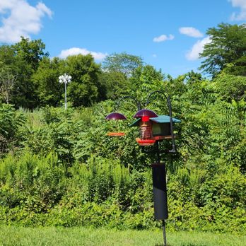 CLARENCE J BROWN DAM AND RESERVOIR - Updated August 2025 - 21 Photos ...