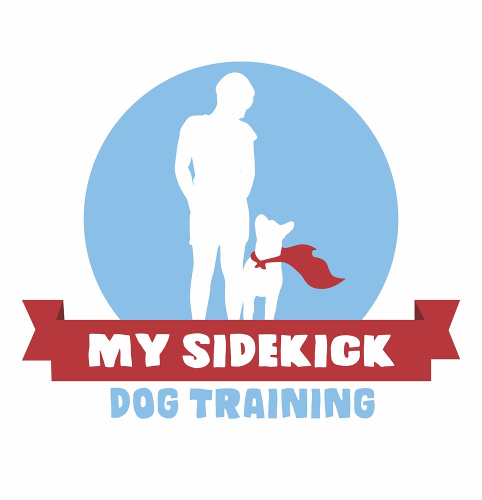MY SIDEKICK DOG TRAINING - Updated October 2025 - Detroit, Michigan ...