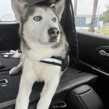 MERCY FULL PROJECT - Updated November 2025 - 31 Photos & 26 Reviews ...