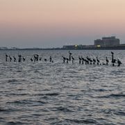 FRONT BEACH - 97 Photos & 13 Reviews - Front Beach Dr, Ocean Springs ...