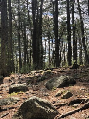 F GILBERT HILLS STATE FOREST - Updated August 2025 - 32 Photos & 18 ...