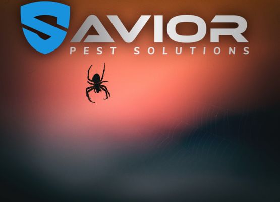 SAVIOR PEST SOLUTIONS - Updated September 2025 - 23 Photos - 58 ...