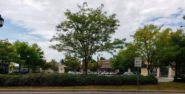 ALAMANCE CROSSING - Updated August 2025 - 13 Photos - 1080 Piper Ln ...