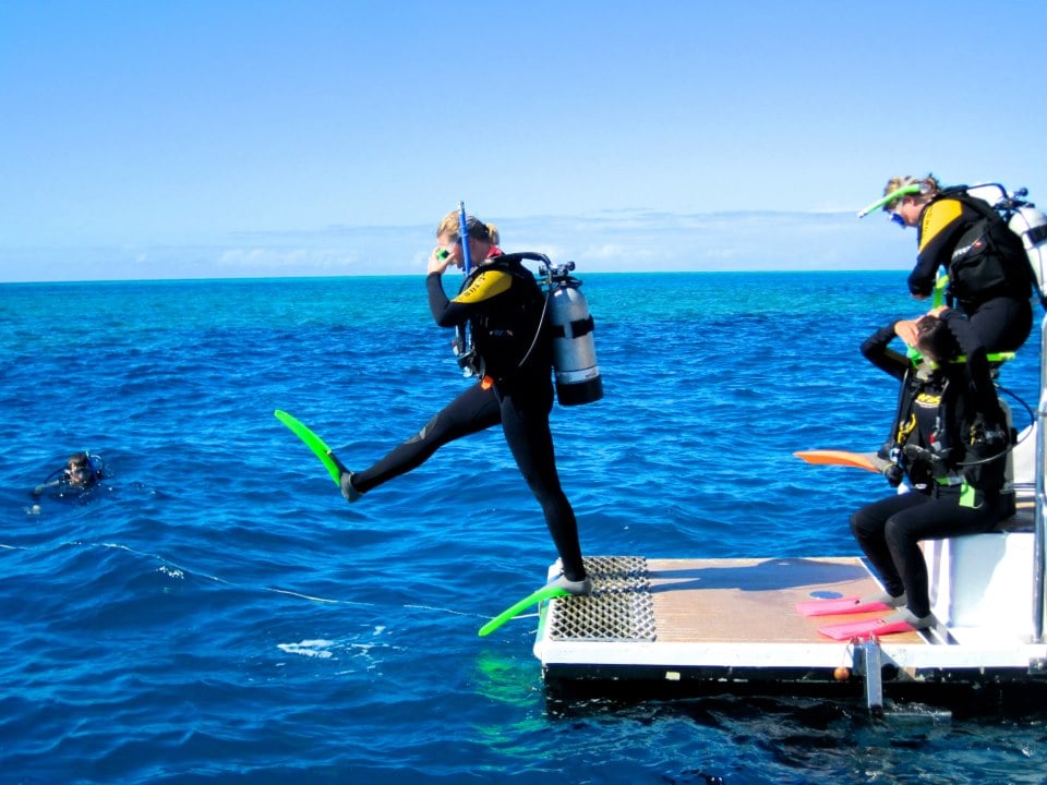 WINGS DIVING ADVENTURES - 4 Airlie Crescent, Airlie Beach Queensland ...