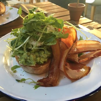 PETER RABBIT - Updated February 2025 - 86 Photos & 32 Reviews - 234-244 ...