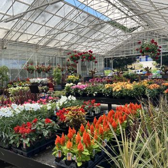 WATSON’S GREENHOUSE AND NURSERY - Updated February 2025 - 86 Photos ...